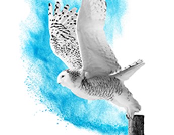 English Heritage chooses Tribal’s K2 Facilities and Asset Management system